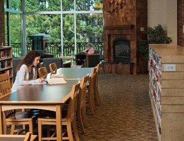 Lakeview Library – ignite cda